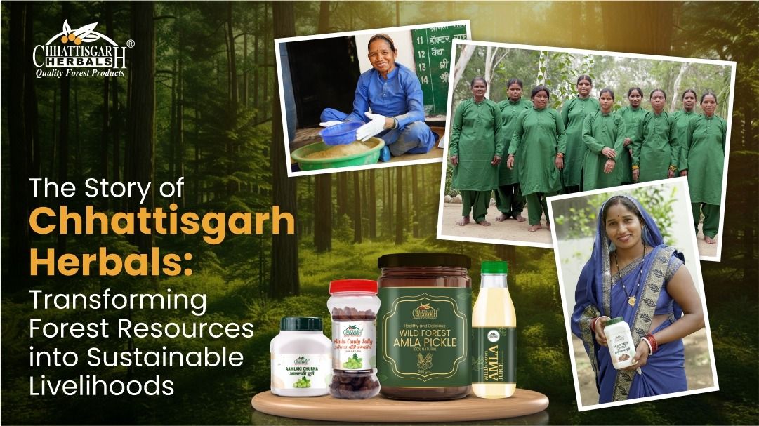The Story of Chhattisgarh Herbals: Transforming Forest Resources into ...